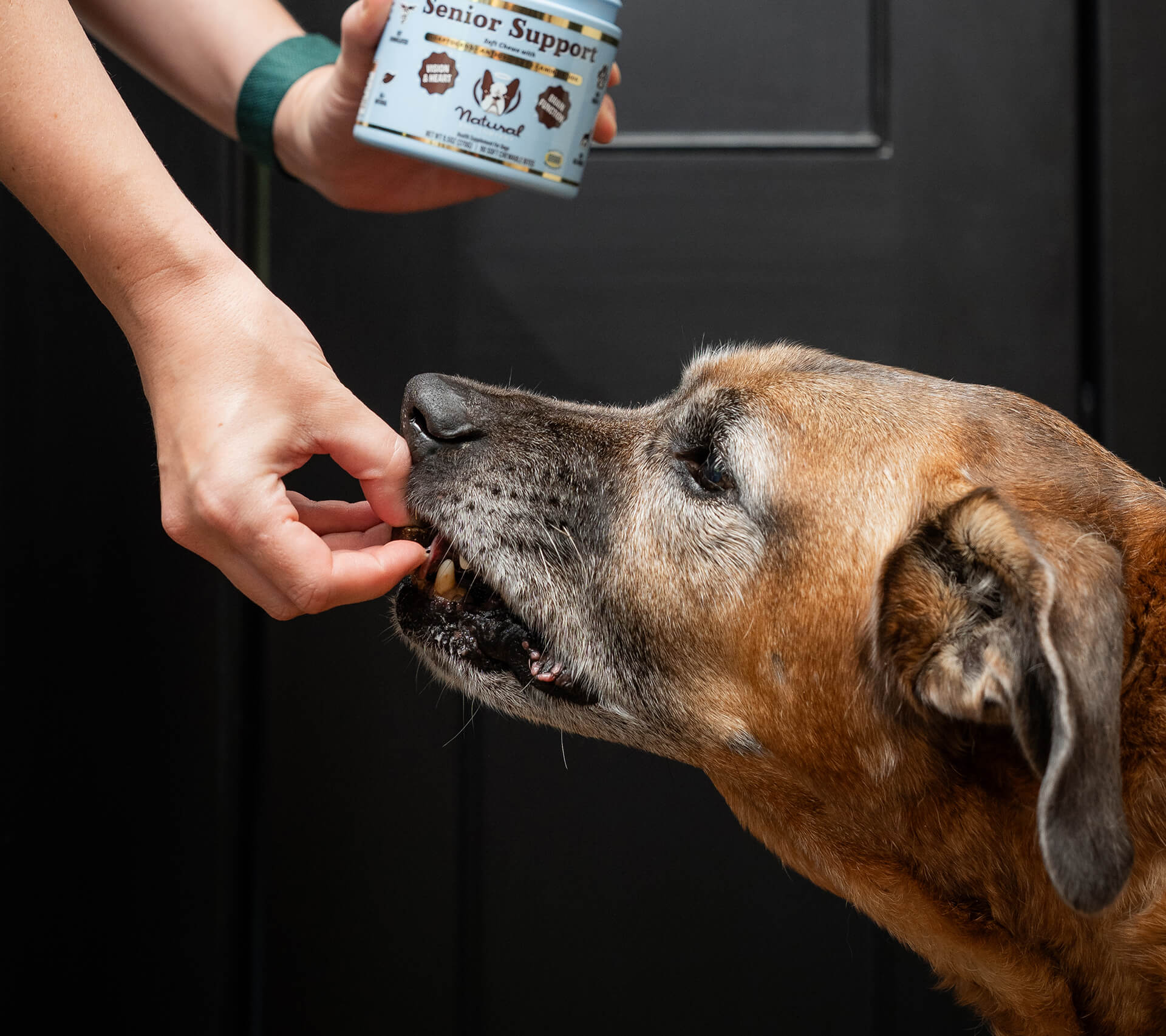 Dog Supplements & Chews | Naturally Derived Ingredients | Natural Dog ...