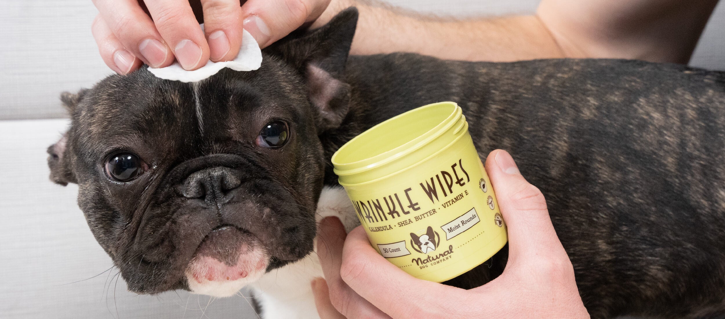 Dog Probiotics Supplement – Natural Dog Company