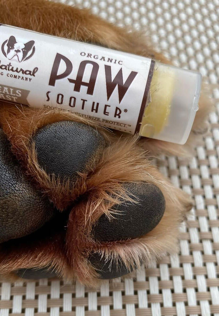 Paw Soother Travel Stick | Heal Dry Paws | Natural Dog Company