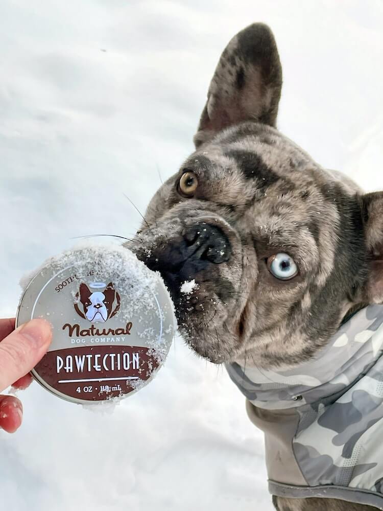 PawTection: Protect Your Dog's Paws From Snow, Ice and Heat – Natural ...