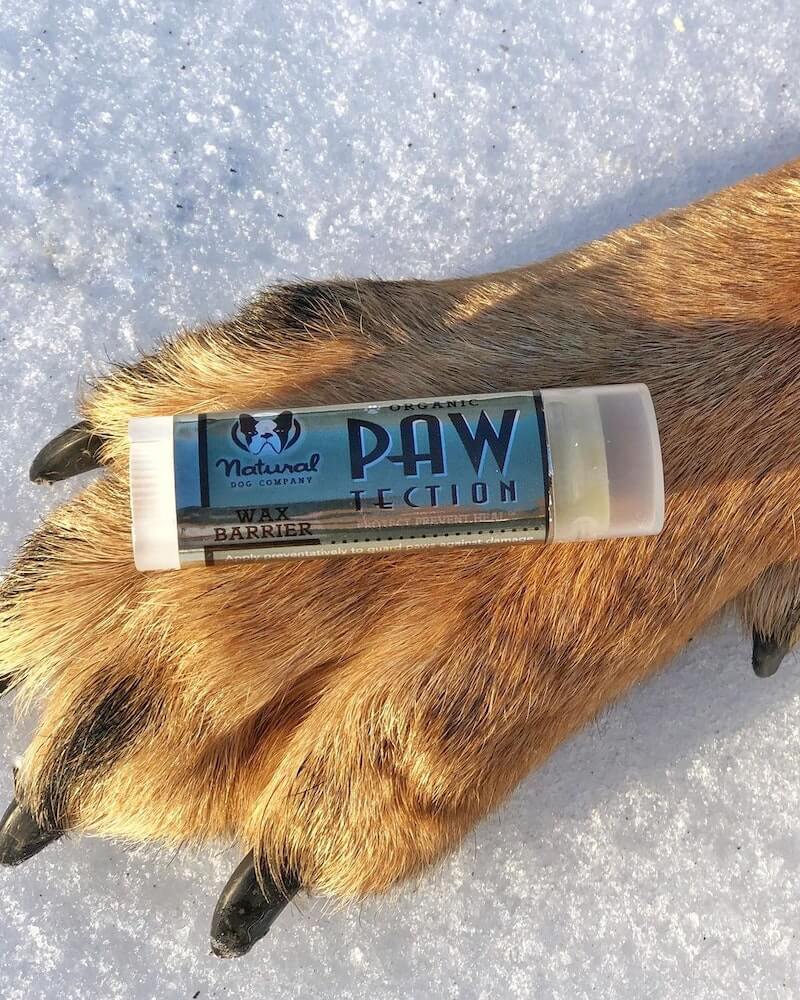 PawTection Travel Stick | Dog Paw Protection On-The-Go | Natural Dog ...