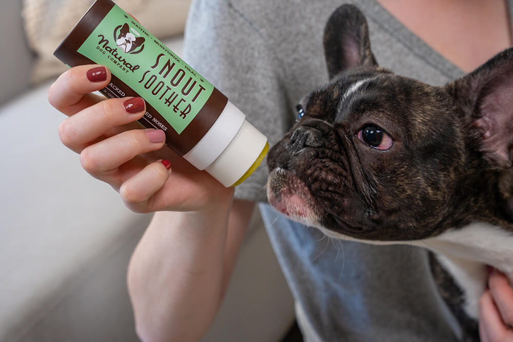 Snout Wipes – Natural Dog Company