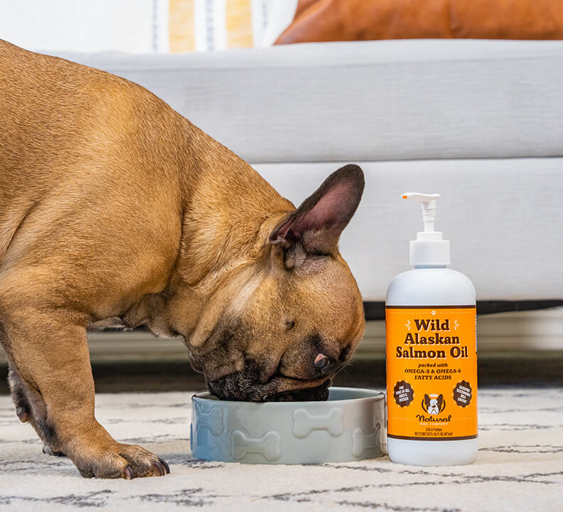 Natural Dog Company - Health & Wellness Solutions for Pups