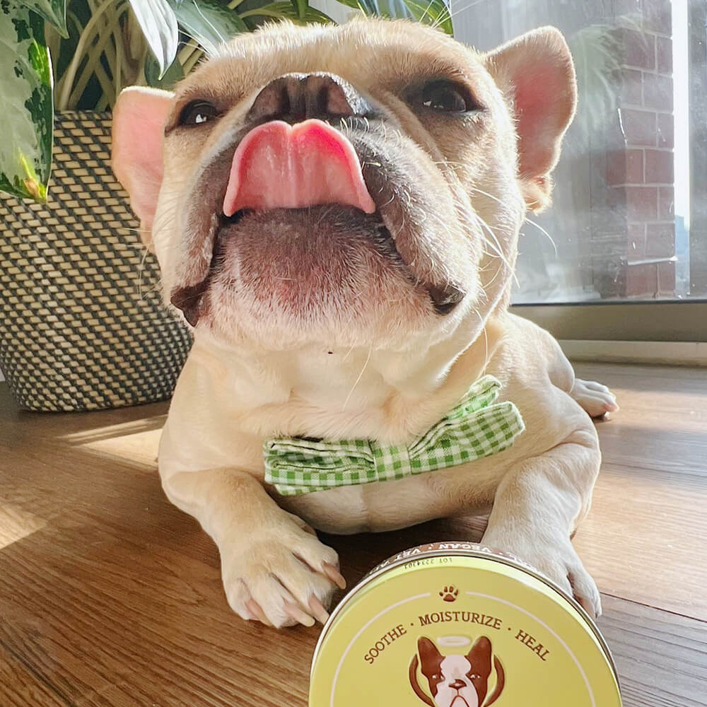 Natural Dog Company - Health & Wellness Solutions for Pups