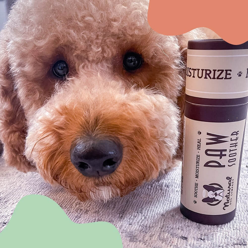 Natural Dog Company - Health & Wellness Solutions for Pups