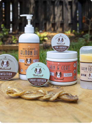 Interdigital Cysts: How to Heal a Furuncle – Natural Dog Company