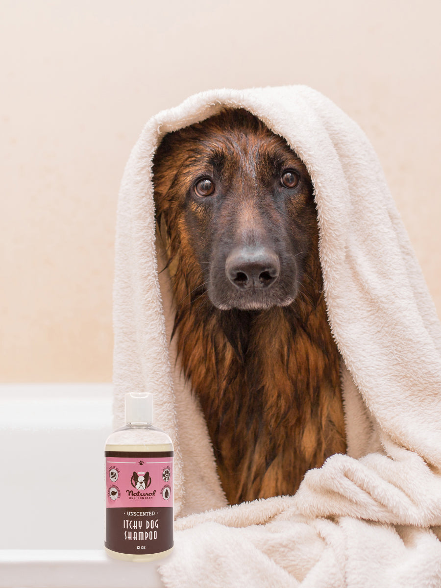 Dog Supplements, Balms, Treats & Grooming Products | Natural Dog Company