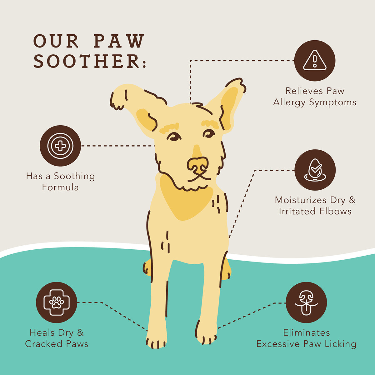 Itchy Paw Pack for Allergies and Yeasty Paws | Natural Dog Company